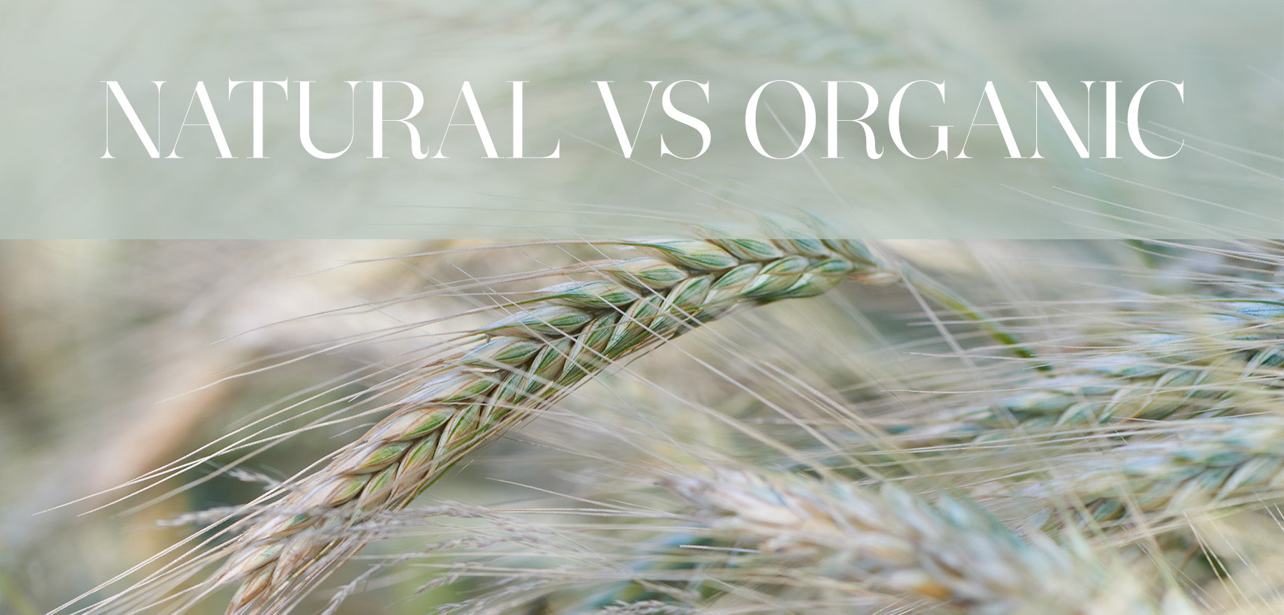 Understanding the Difference Between Natural and Organic Skincare: Wha ...